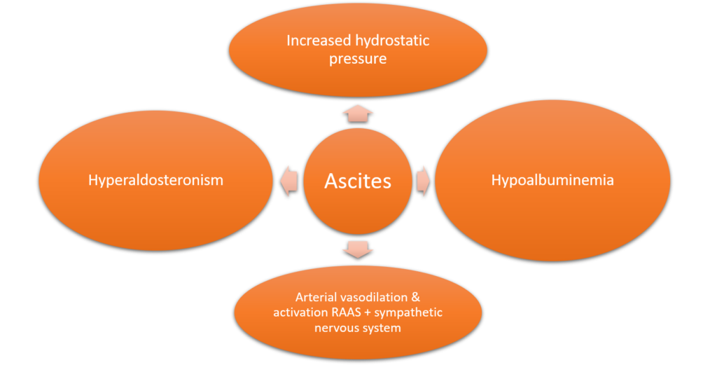 Ascites – Pharmacy & Acute Care University