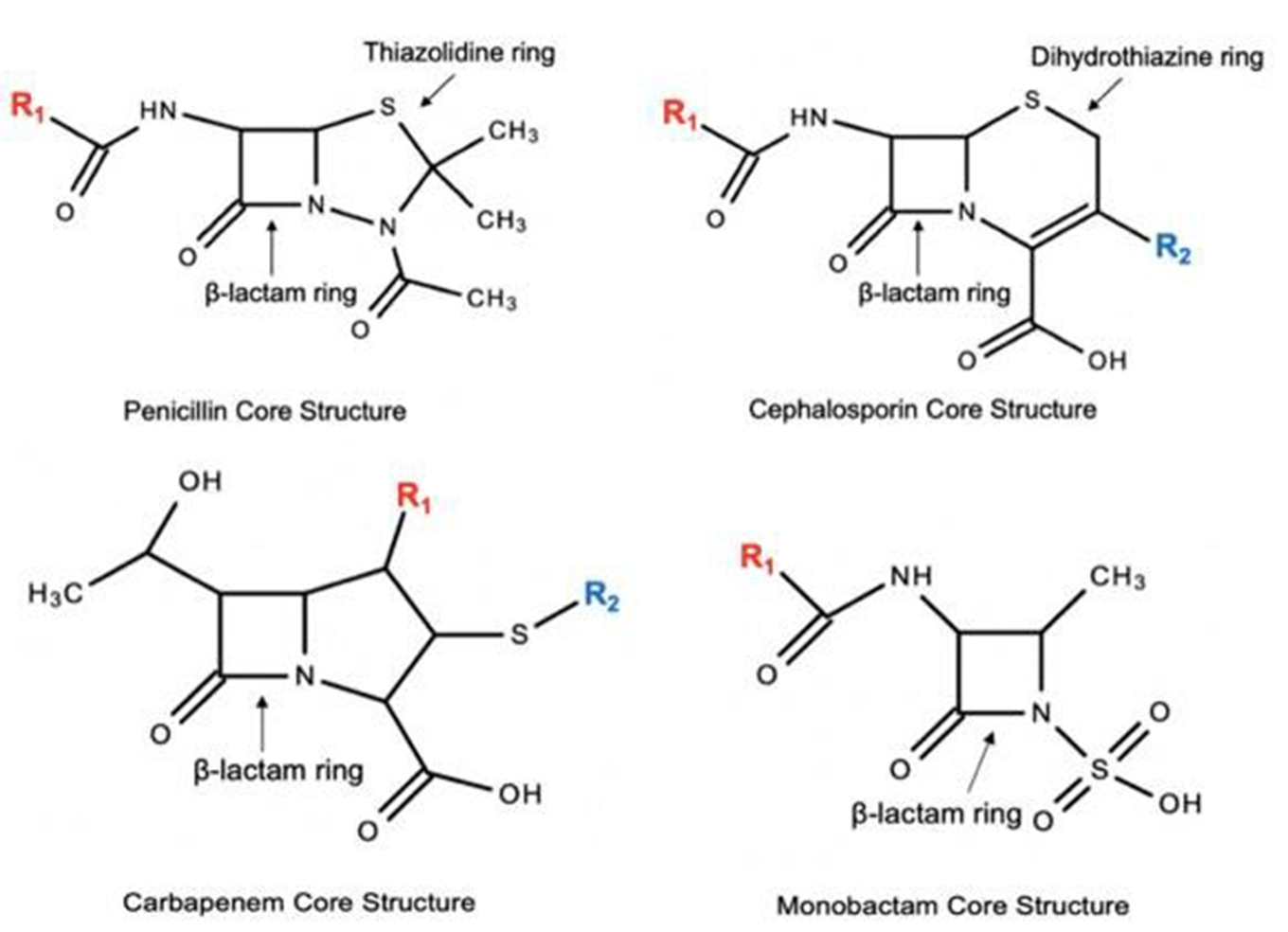 Penicillin Allergy Cross Reactivity – Pharmacy & Acute Care University